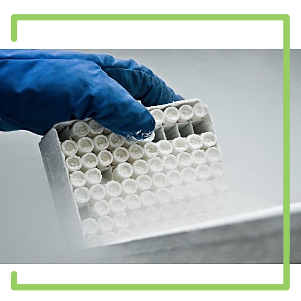 ABOUT US – MTS Cryostores